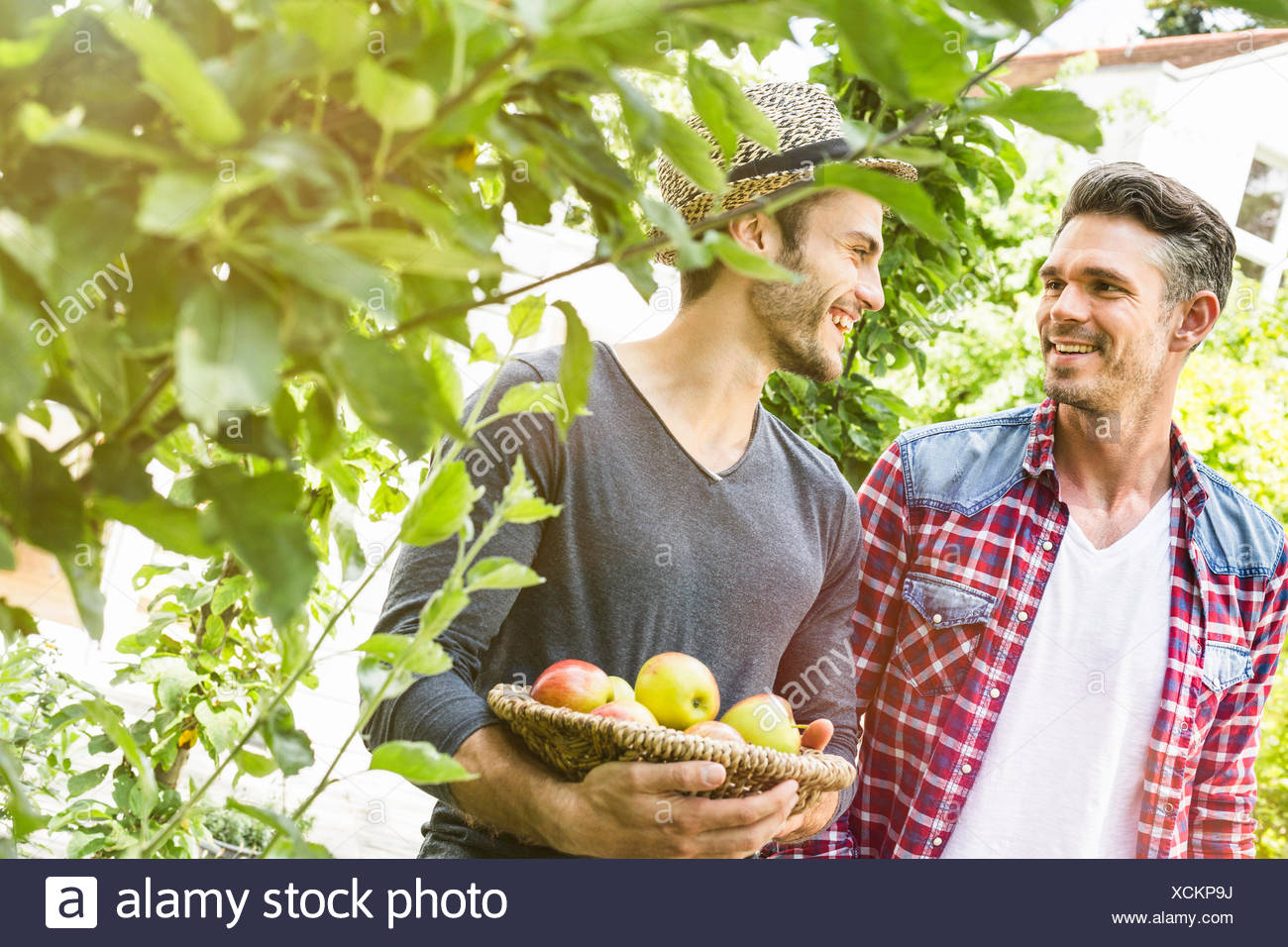Two Men Harvesting High Resolution Stock Photography and Images - Alamy
