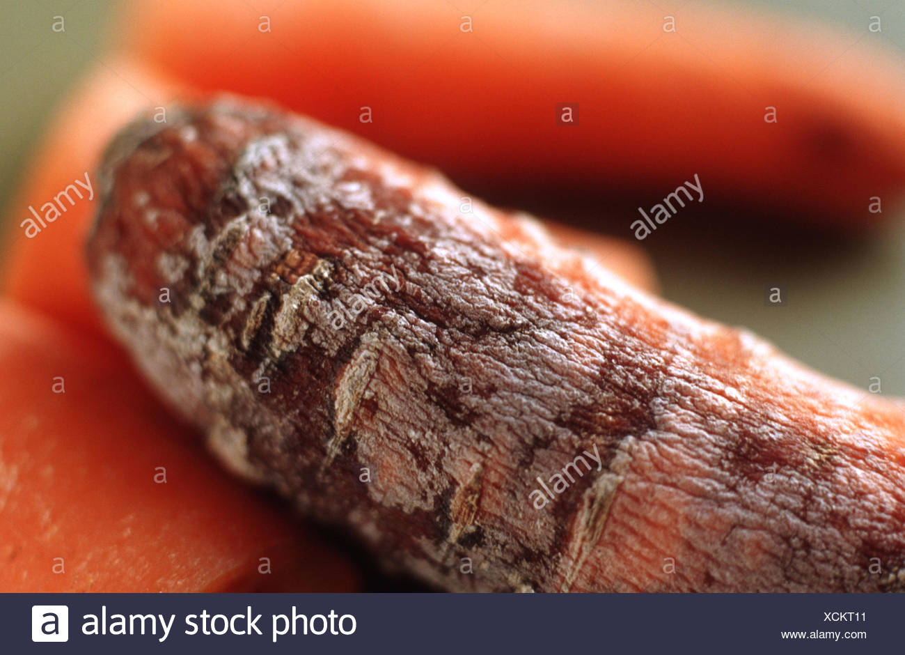 Streptomyces Scabies High Resolution Stock Photography and Images - Alamy