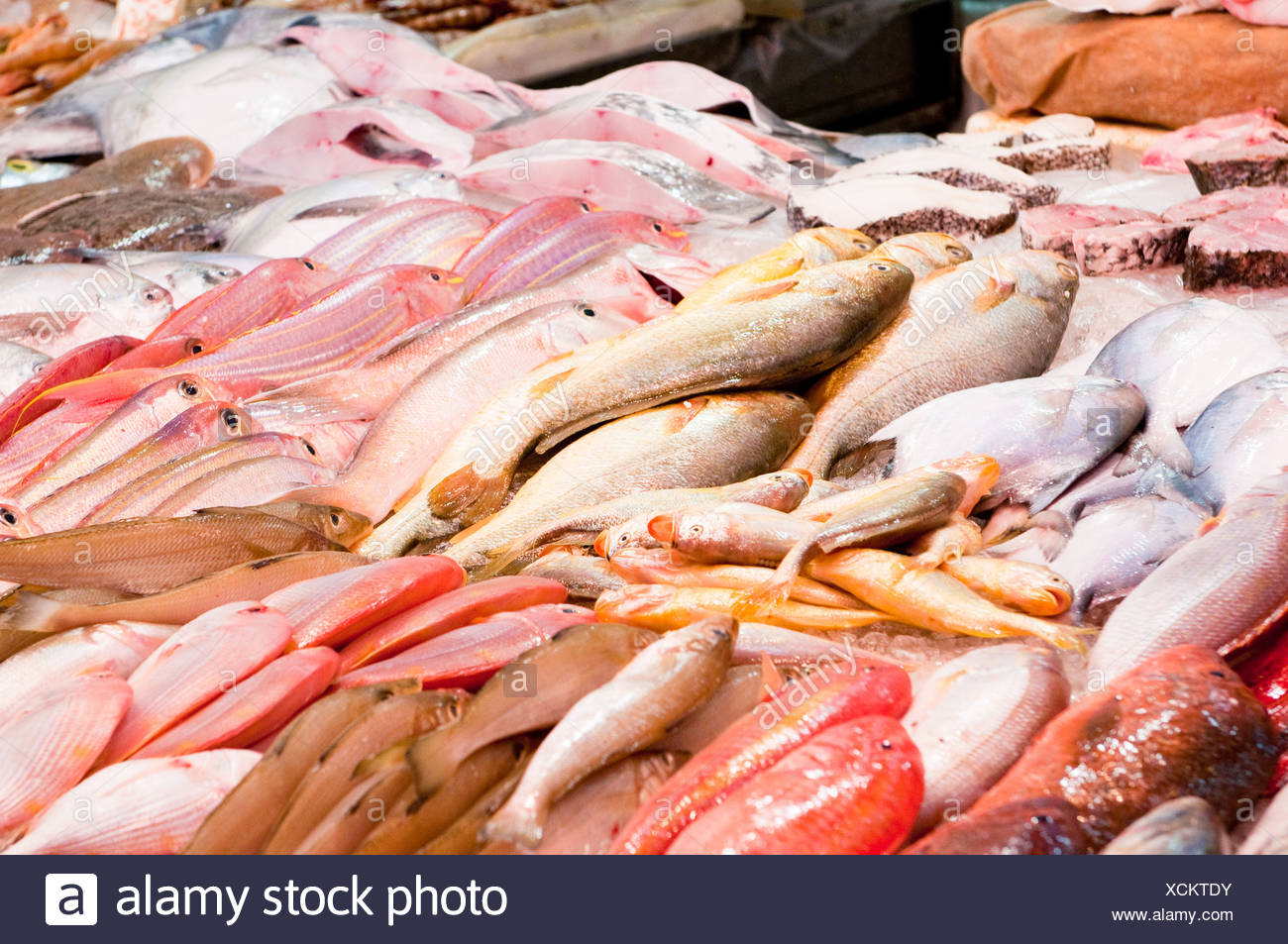 Fish Hawker Stock Photos & Fish Hawker Stock Images - Alamy