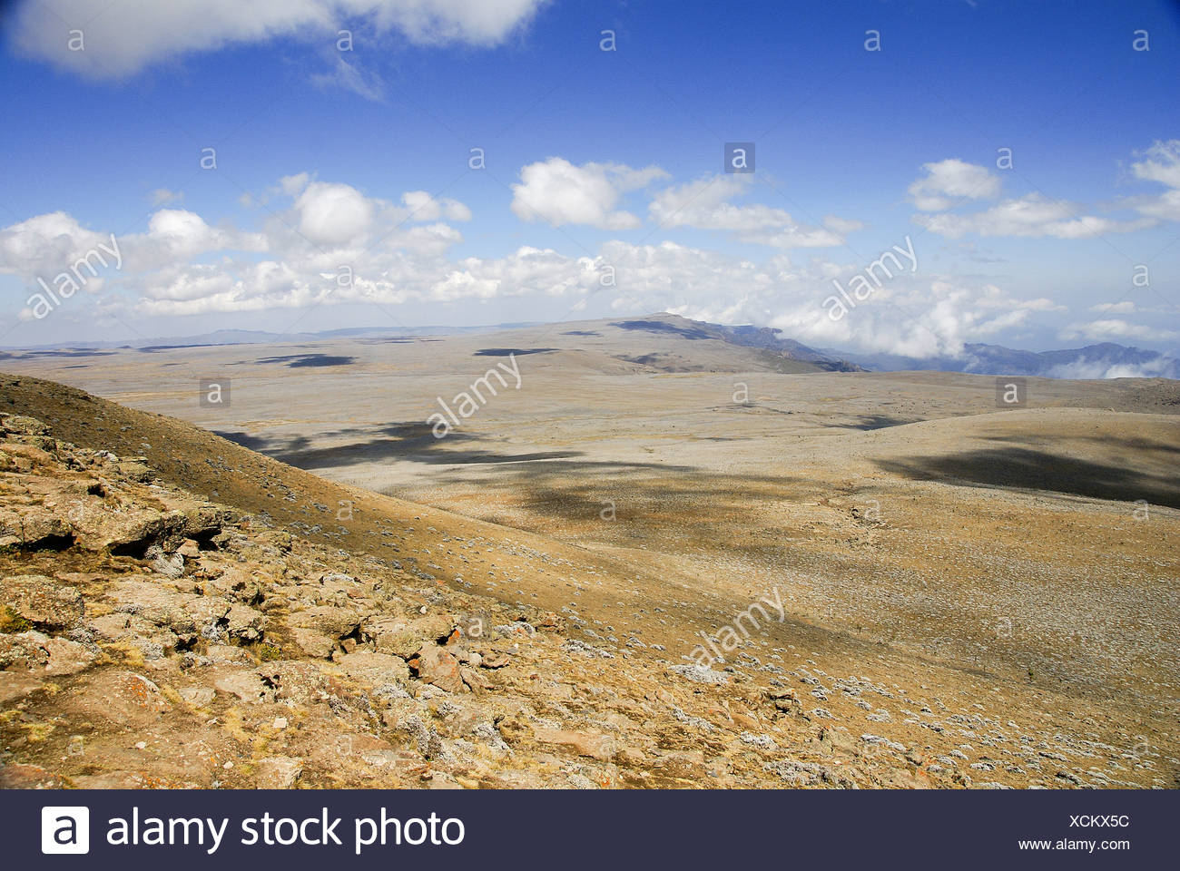 Oromia High Resolution Stock Photography and Images - Alamy