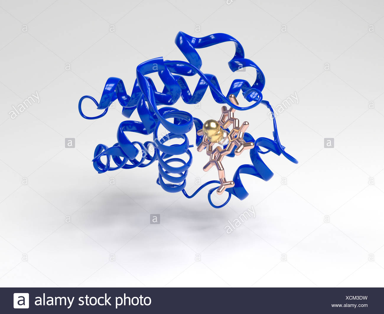 Haemoglobin High Resolution Stock Photography and Images - Alamy