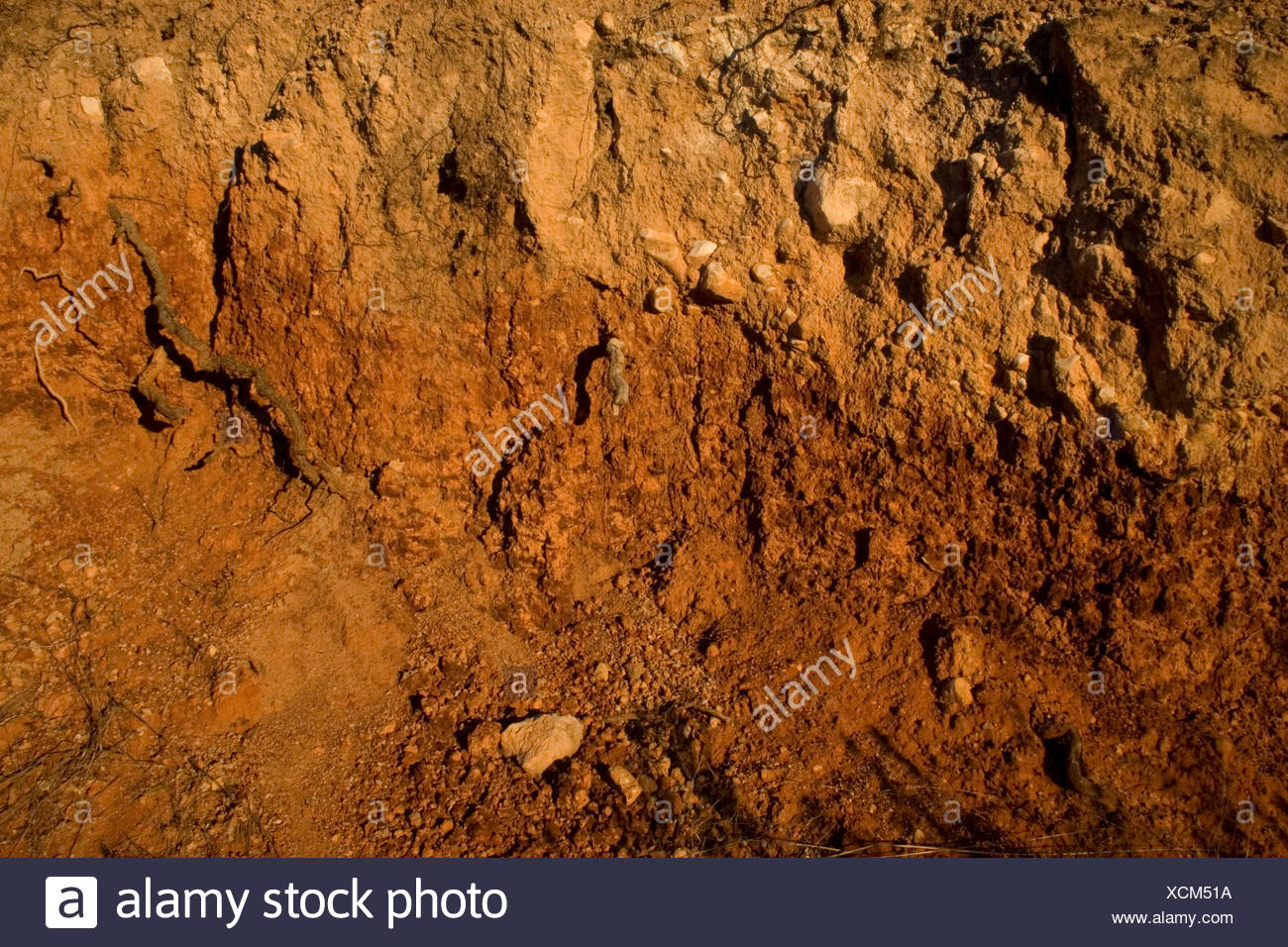 Fossils Underground High Resolution Stock Photography and Images - Alamy
