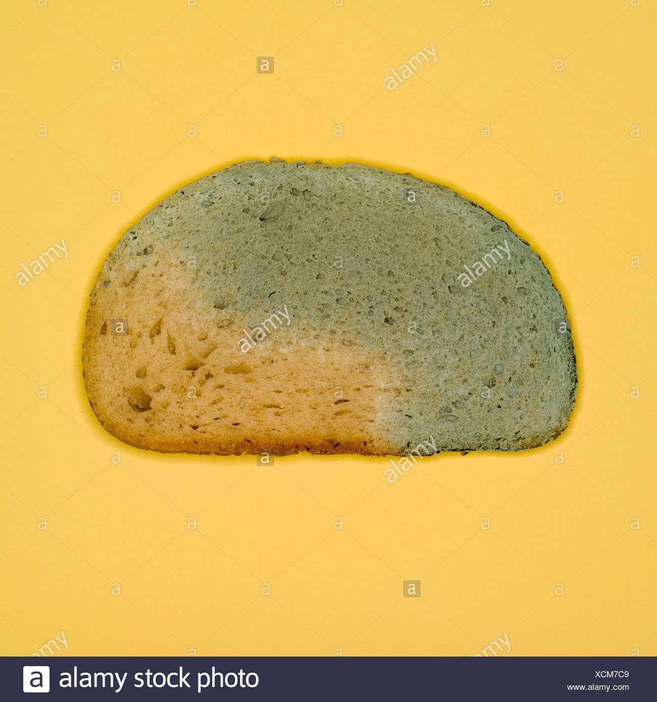 Bread Mould Stock Photos & Bread Mould Stock Images - Alamy