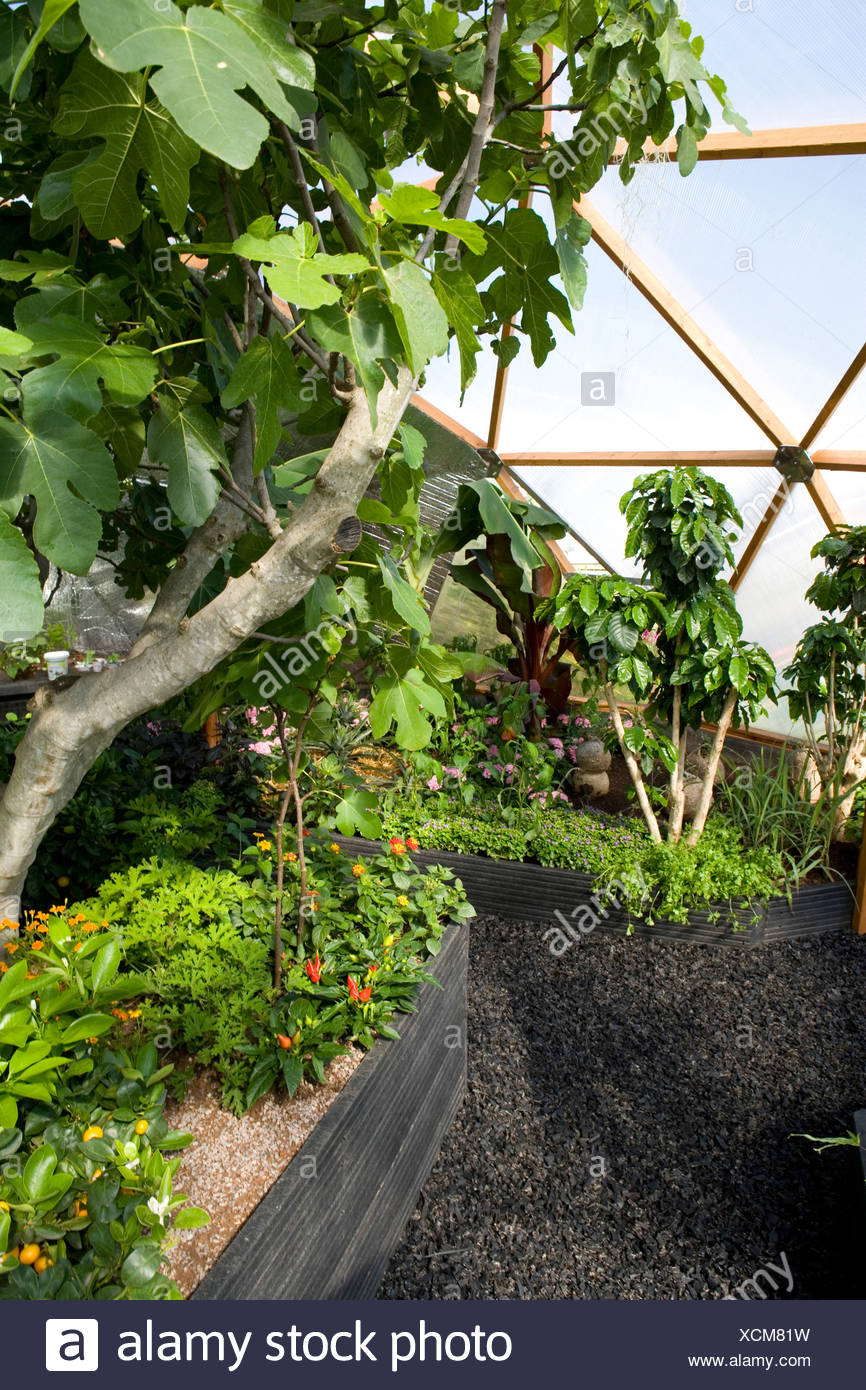 Shredded Trees High Resolution Stock Photography and Images - Alamy
