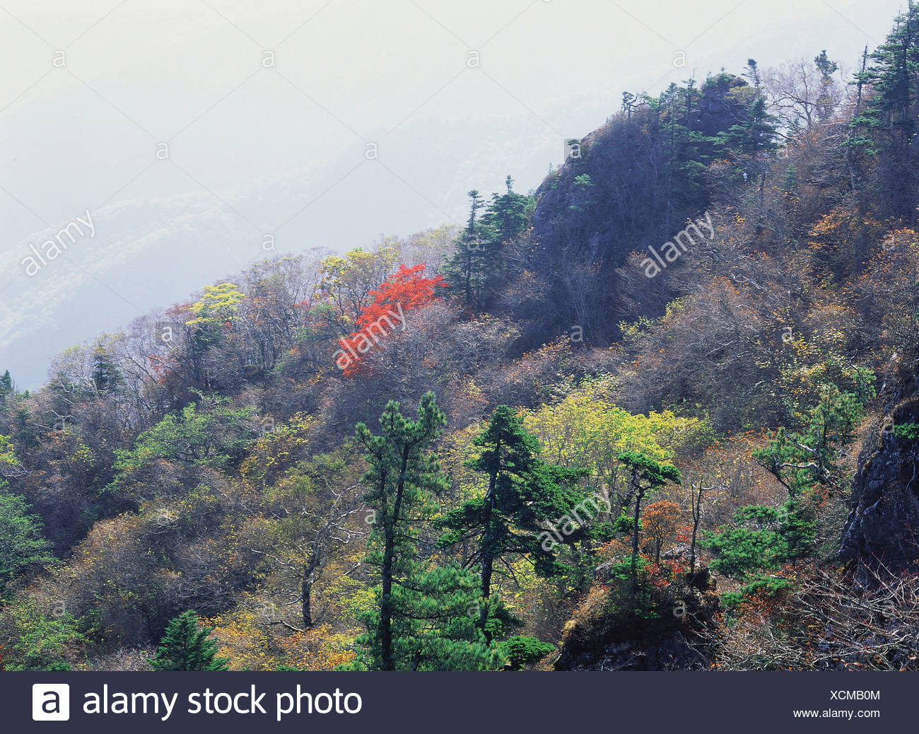Jiri Mountain Stock Photos & Jiri Mountain Stock Images - Alamy