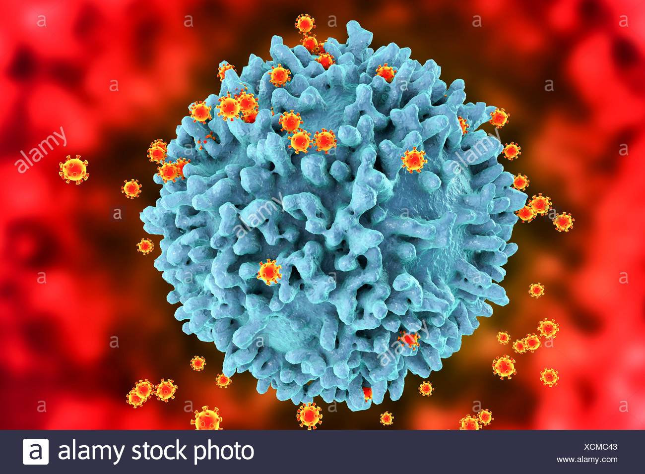 Virus Infecting Cell High Resolution Stock Photography and Images - Alamy
