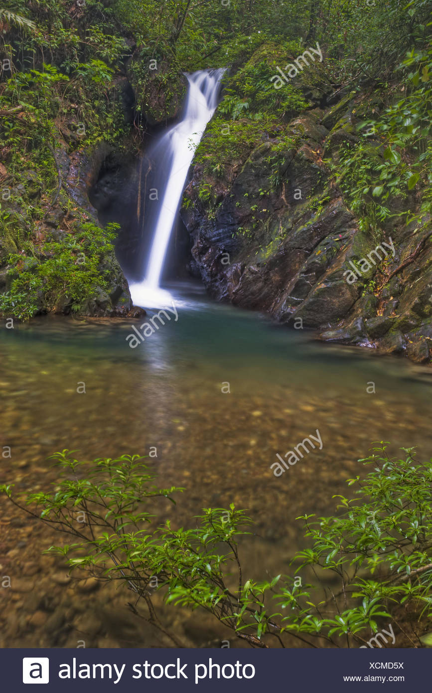 Cockscomb Basin Wildlife Sanctuary High Resolution Stock Photography ...