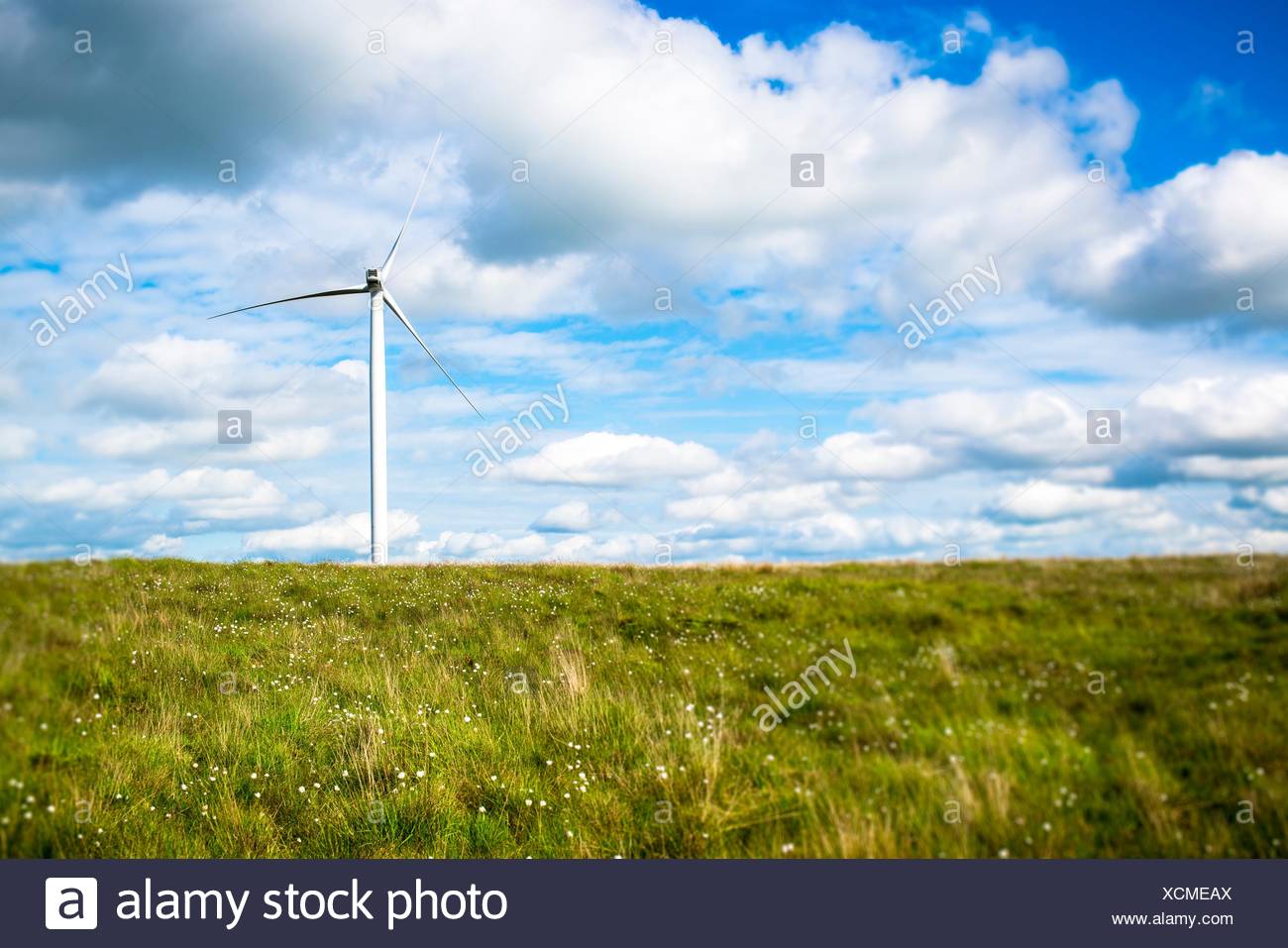 View Of Wind Turbine In Field High Resolution Stock Photography and ...