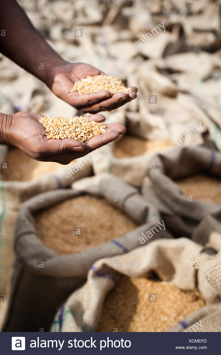 Anaj Mandi Stock Photos & Anaj Mandi Stock Images - Alamy