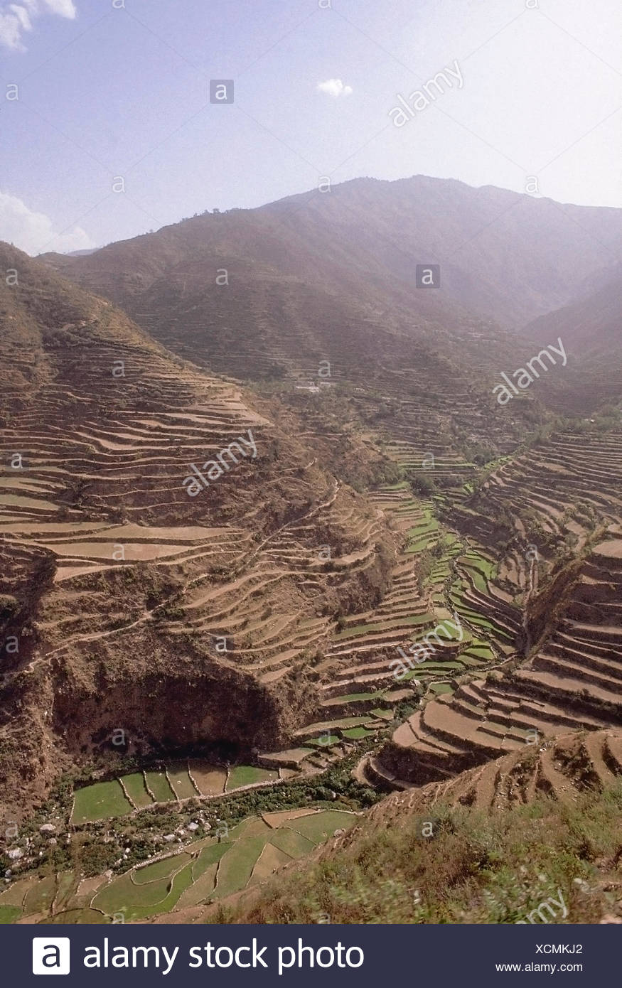 Dehradun High Resolution Stock Photography and Images - Alamy