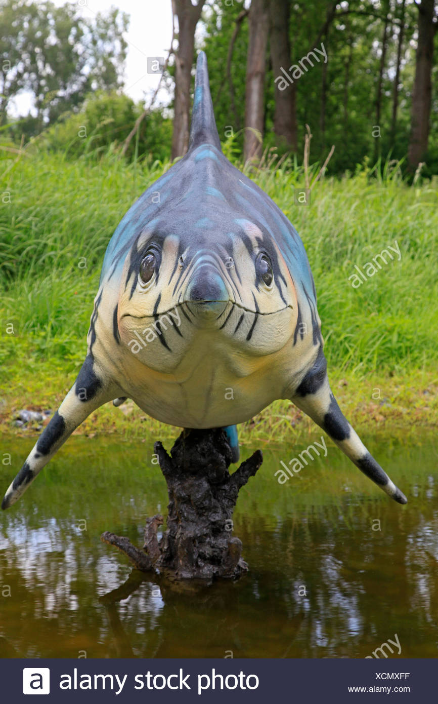Ophthalmosaurus Stock Photos & Ophthalmosaurus Stock Images - Alamy
