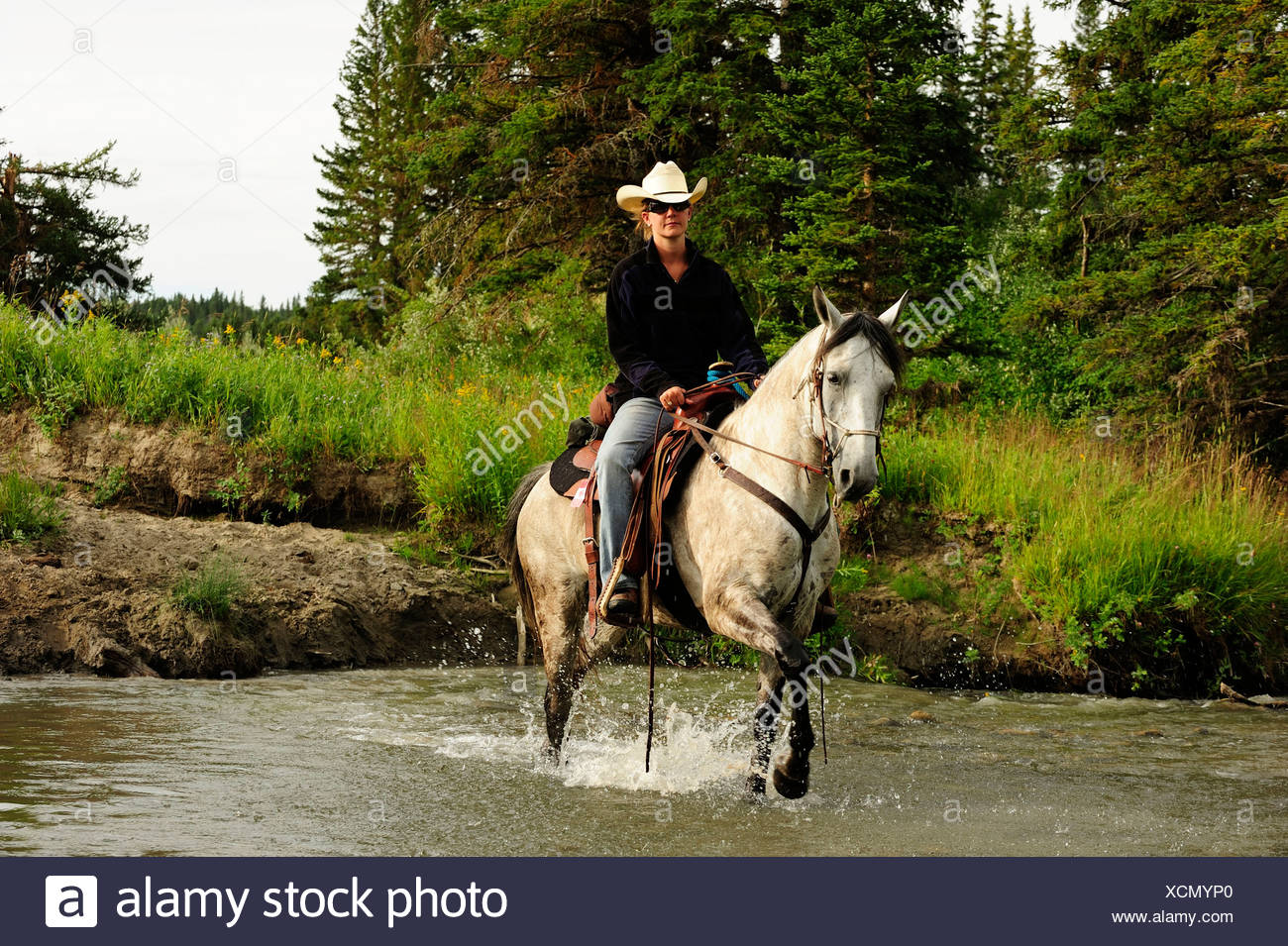 Horse Crossing River High Resolution Stock Photography and Images - Alamy