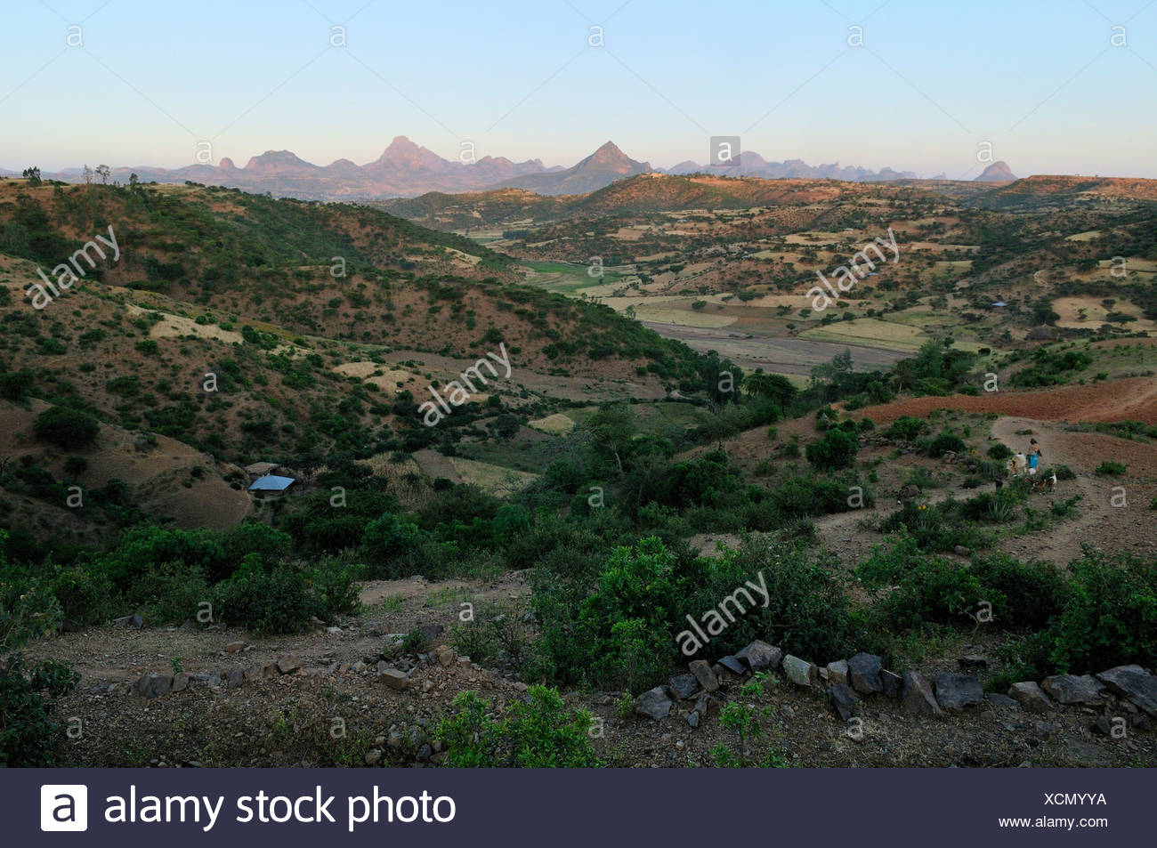 Ethiopia Tigray Agriculture Stock Photos & Ethiopia Tigray Agriculture ...