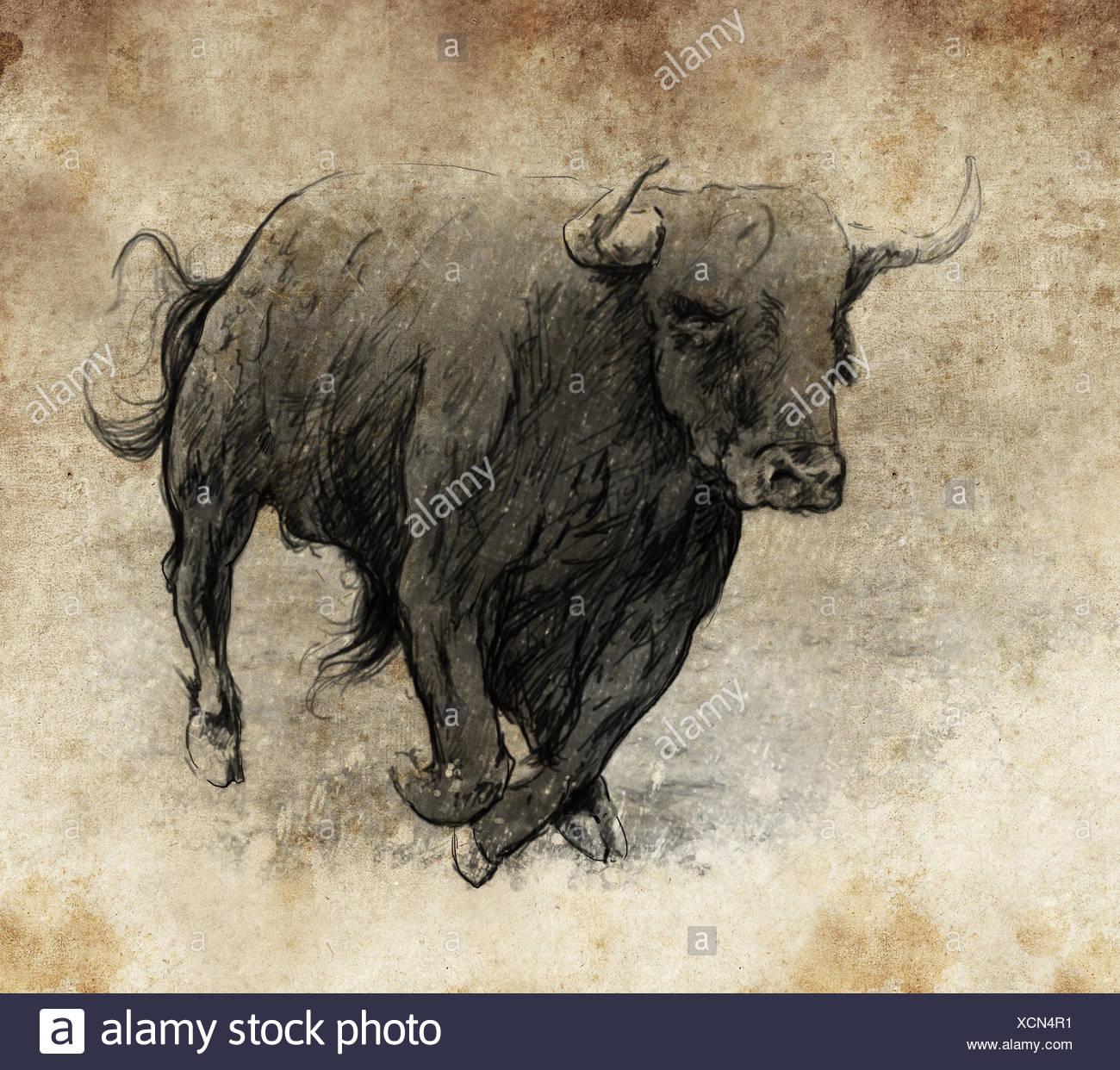 Bull Sketch High Resolution Stock Photography and Images - Alamy