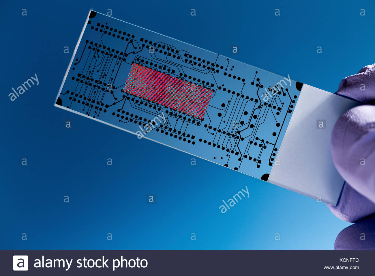 Lab On A Chip Stock Photos & Lab On A Chip Stock Images - Alamy