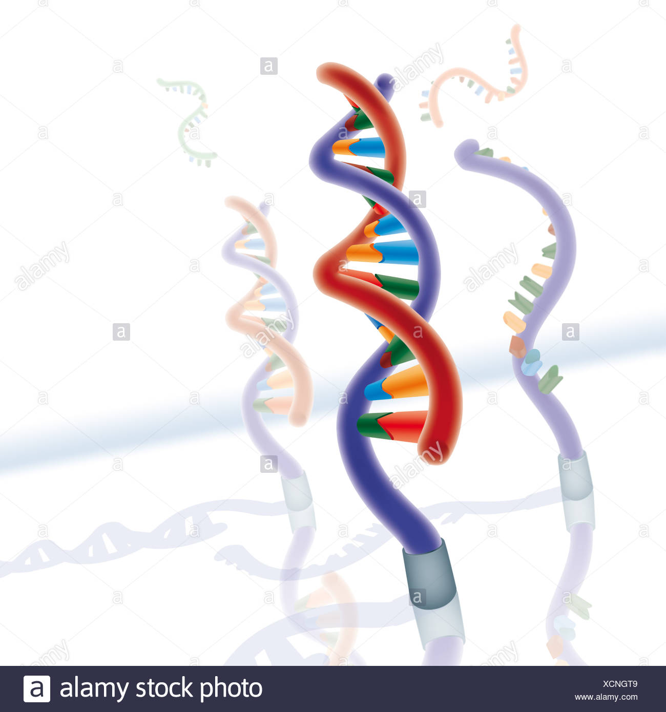 Dna Chip High Resolution Stock Photography and Images - Alamy