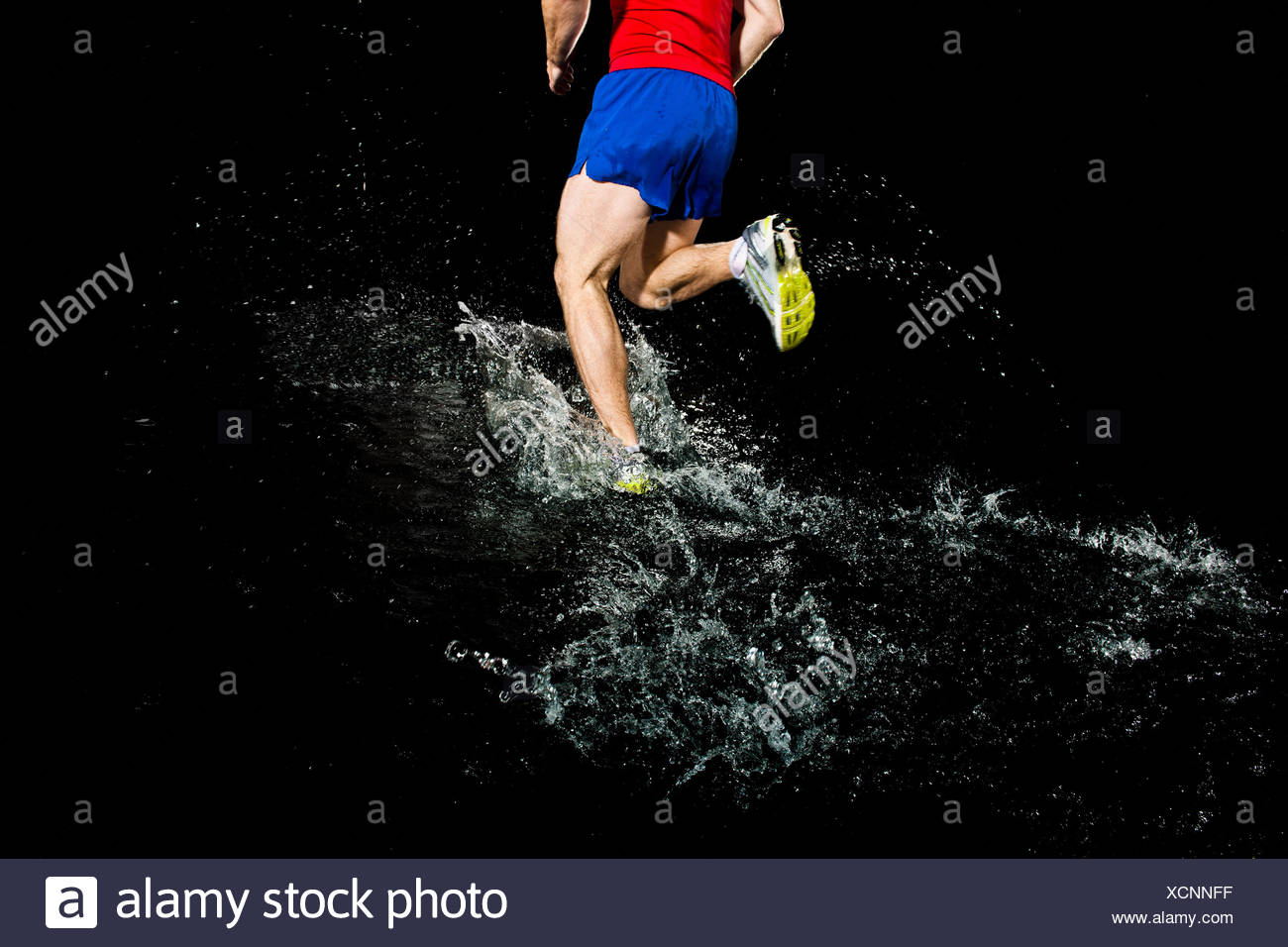 Wet Trainer High Resolution Stock Photography and Images - Alamy