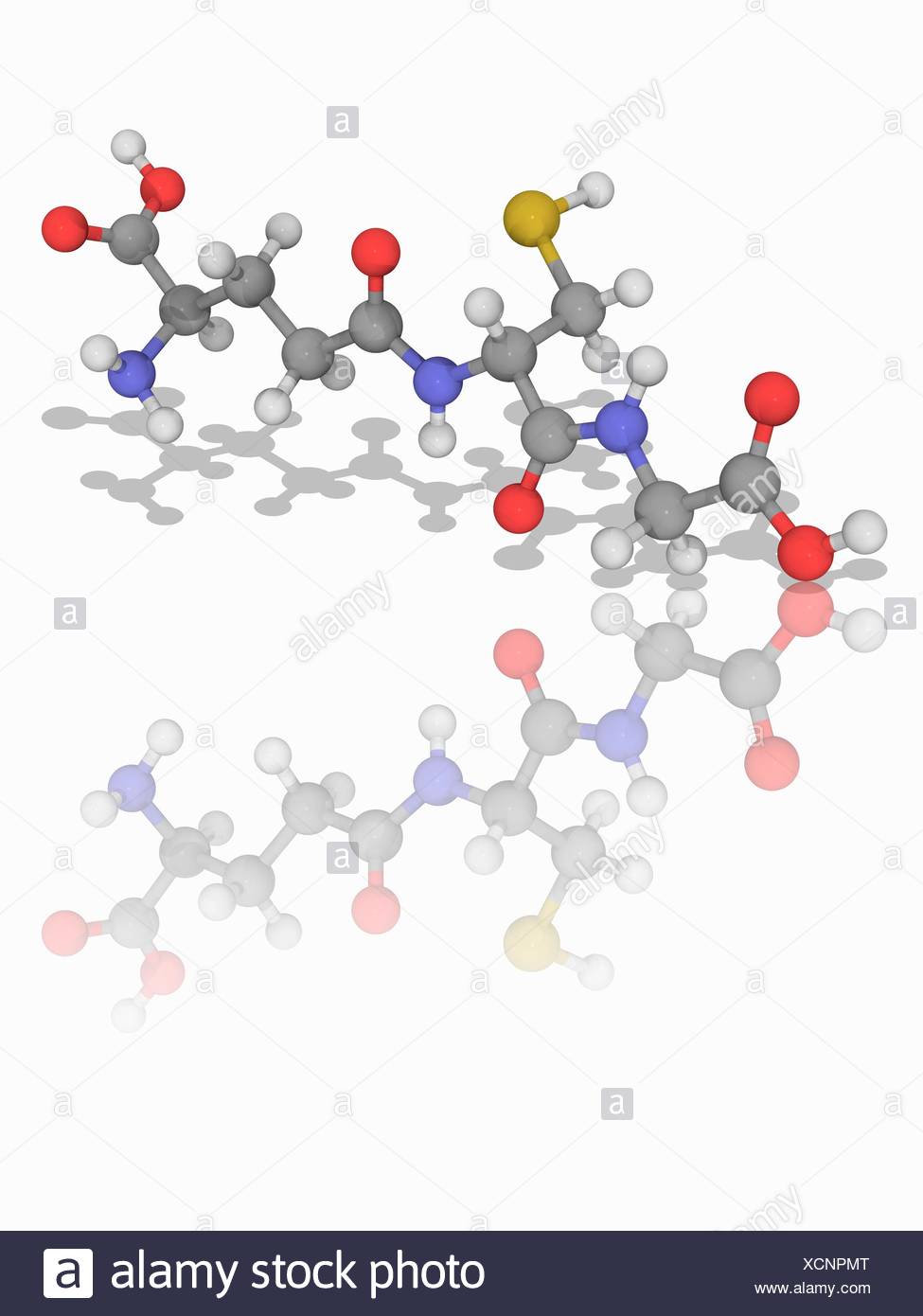Glutathione Stock Photos & Glutathione Stock Images - Alamy