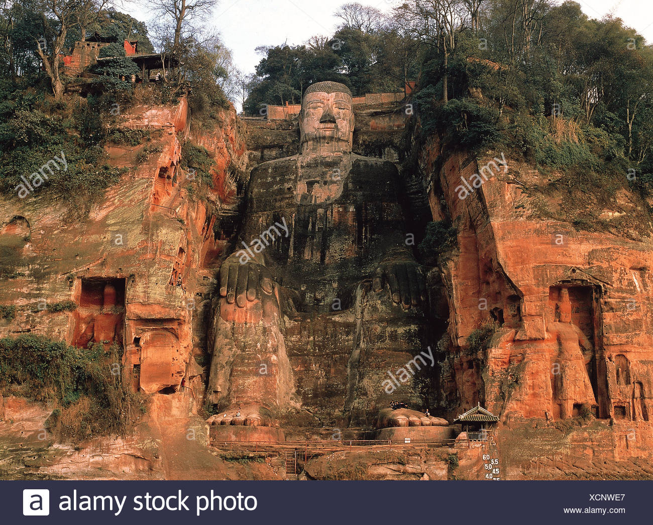 Dafo Stock Photos & Dafo Stock Images - Alamy