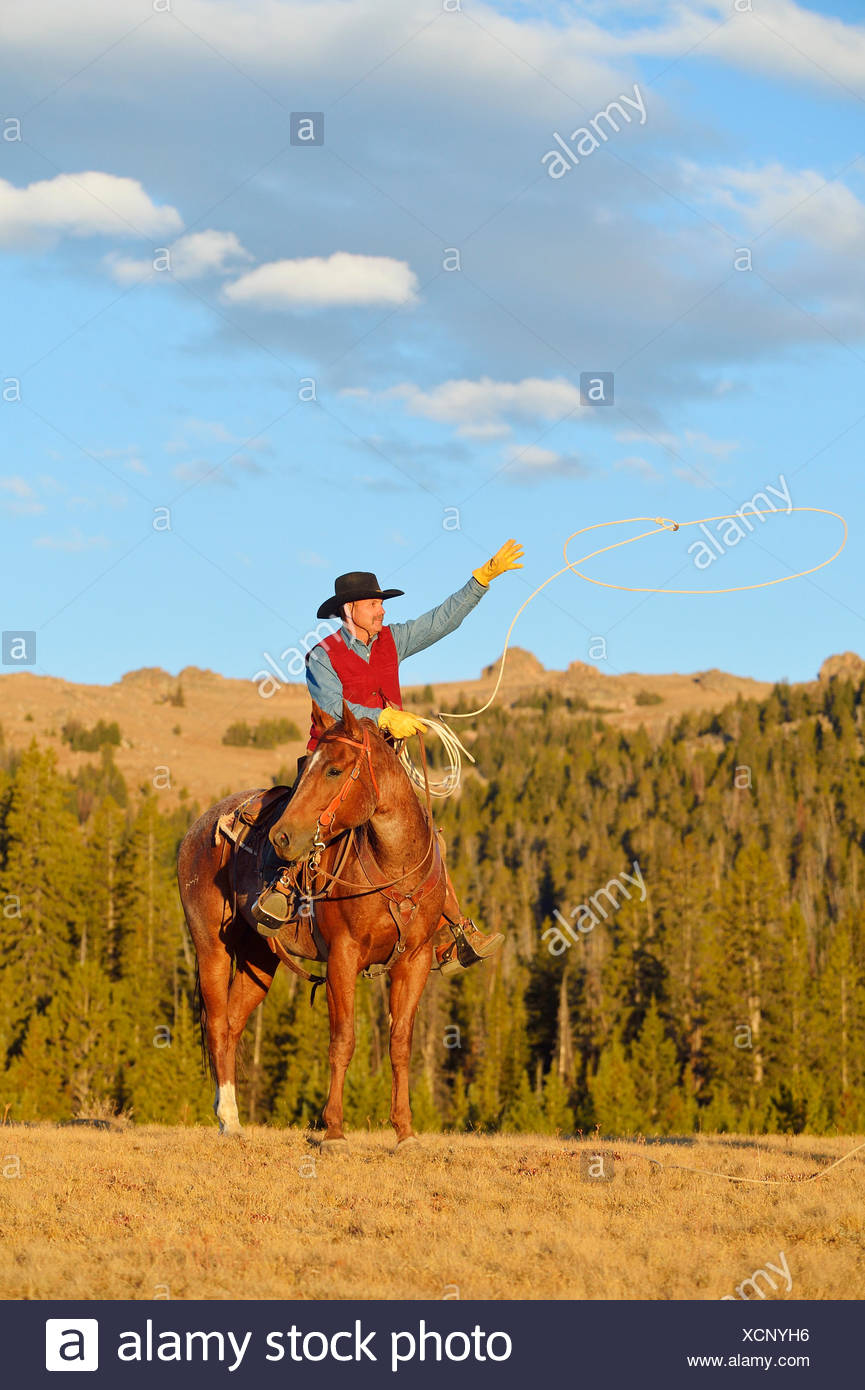 Cowboy Throwing Lasso High Resolution Stock Photography and Images - Alamy