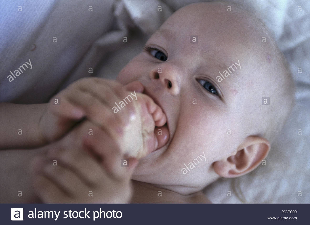 Foot_and_mouth Stock Photos & Foot_and_mouth Stock Images - Alamy
