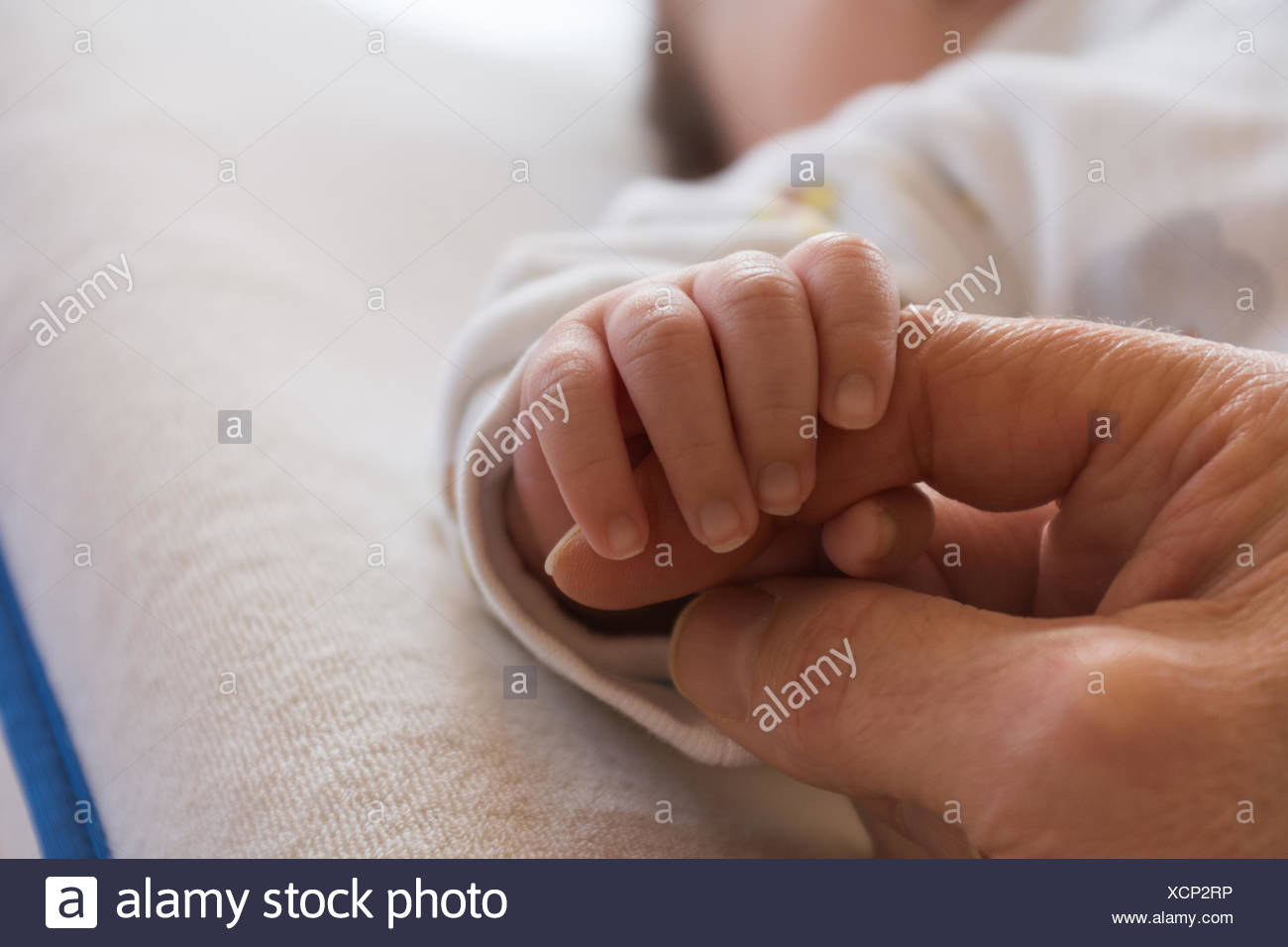 Greifen Nach High Resolution Stock Photography and Images - Alamy