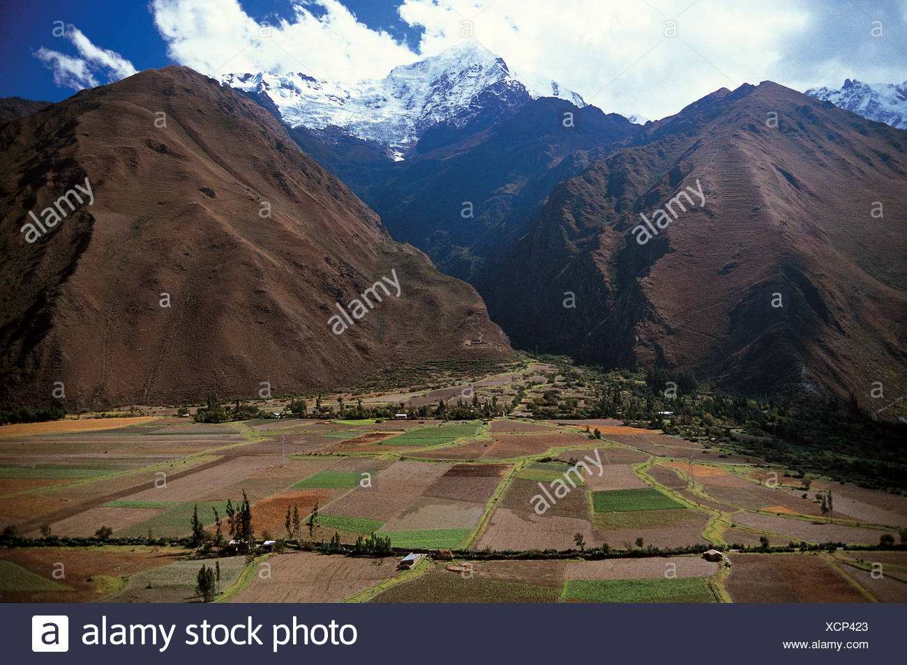 Nevado Veronica High Resolution Stock Photography and Images - Alamy