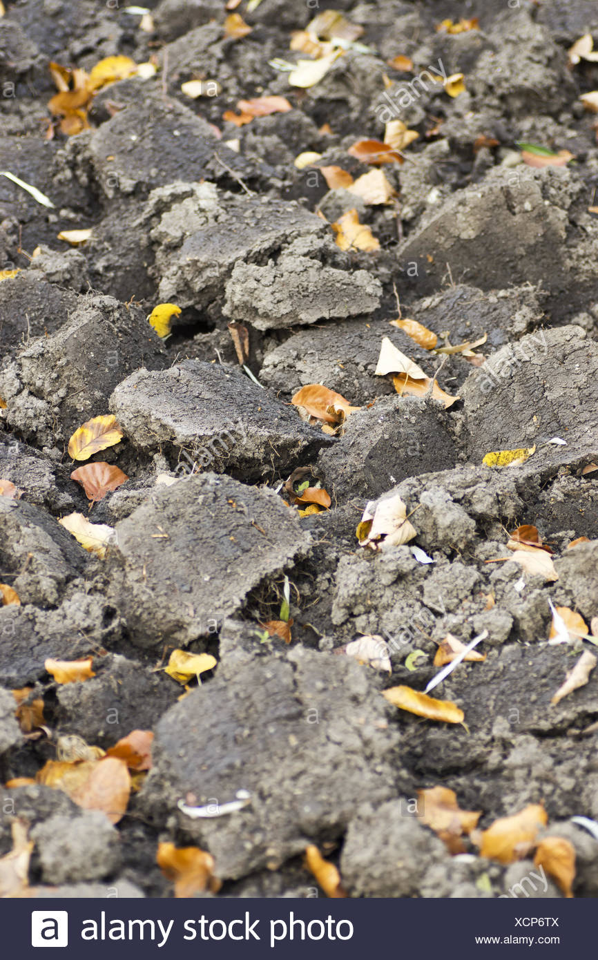 Digged High Resolution Stock Photography and Images - Alamy