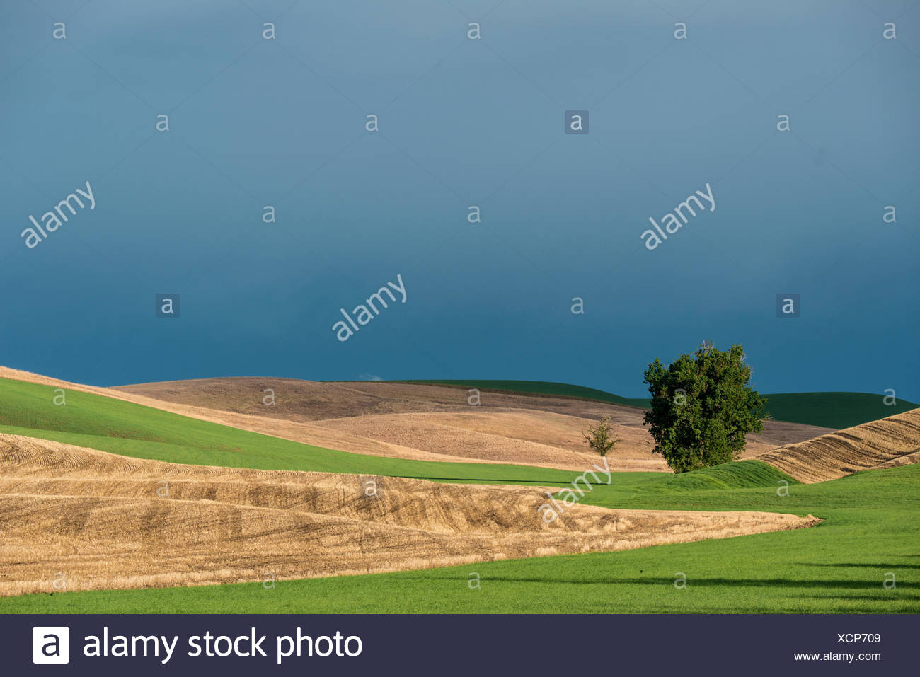 Loess Soil Stock Photos & Loess Soil Stock Images - Alamy