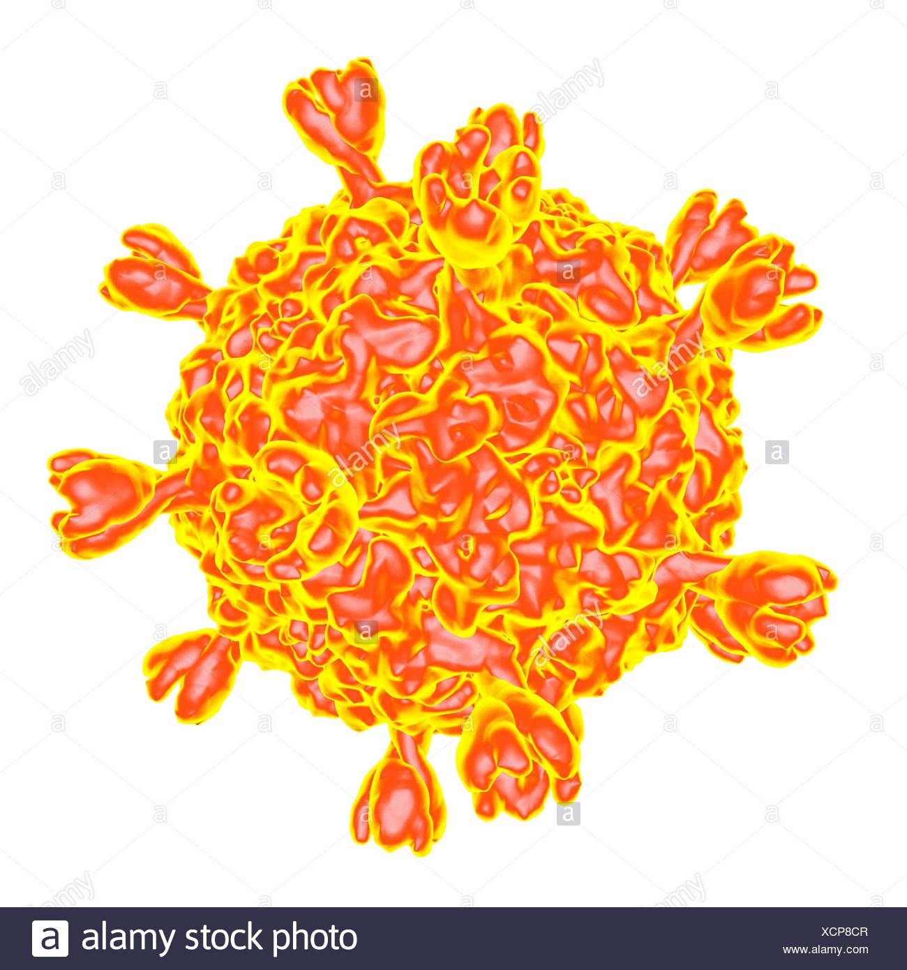 Smallpox Virion High Resolution Stock Photography and Images - Alamy