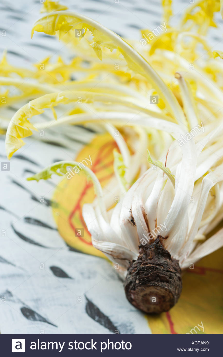 Frisees High Resolution Stock Photography and Images - Alamy