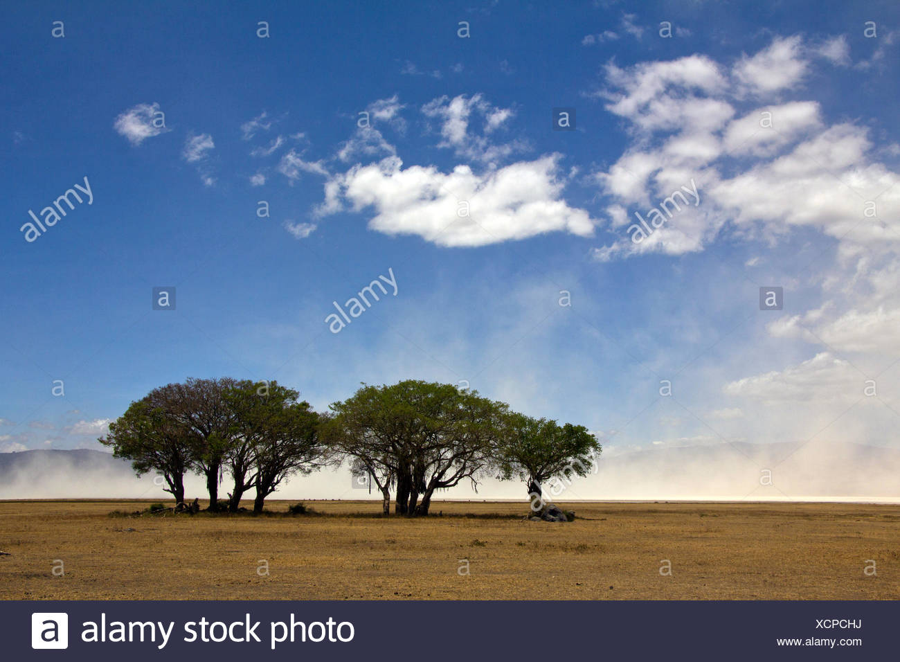 Dust Blowing In The Wind High Resolution Stock Photography and Images ...