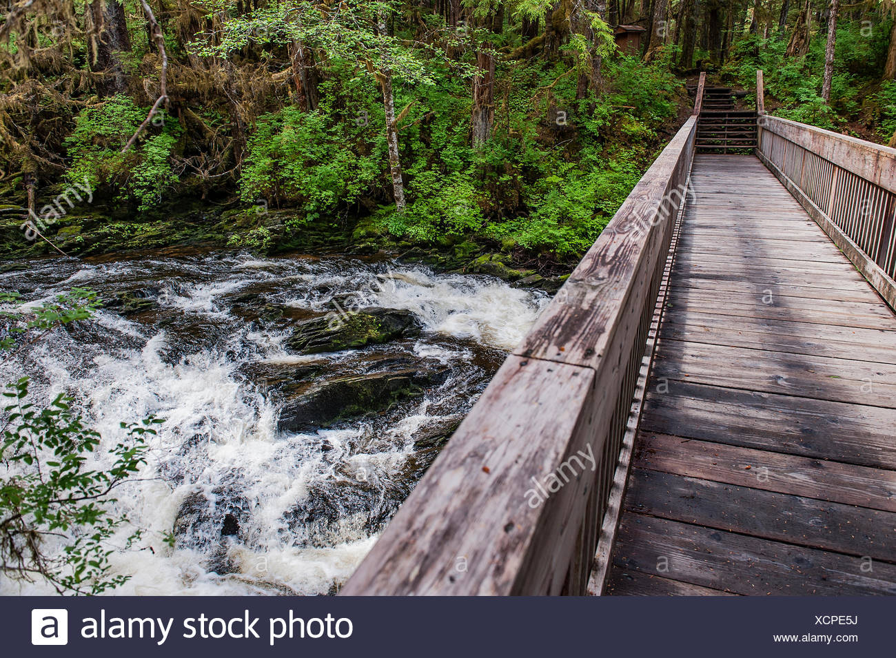Bridge Stream Forest High Resolution Stock Photography and Images - Alamy