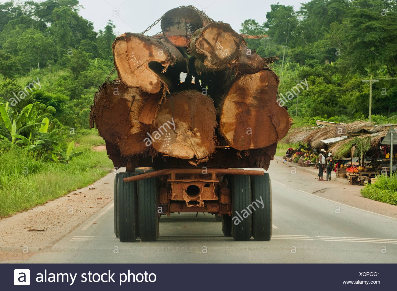 Cross Section Of Timber High Resolution Stock Photography and Images ...