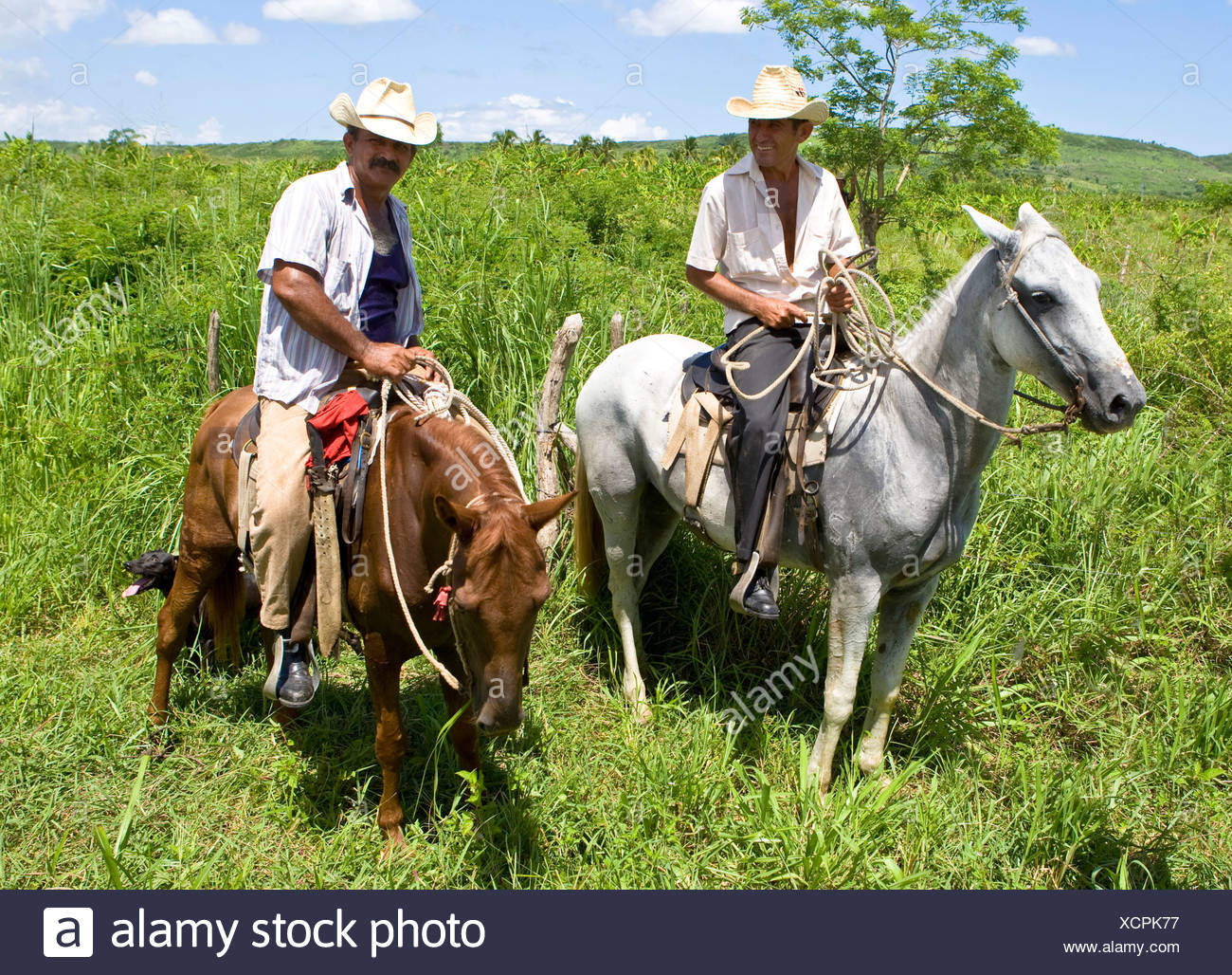 Cuban Indigenous People High Resolution Stock Photography and Images ...