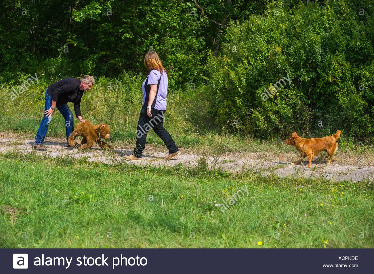 The Duck Test High Resolution Stock Photography and Images - Alamy