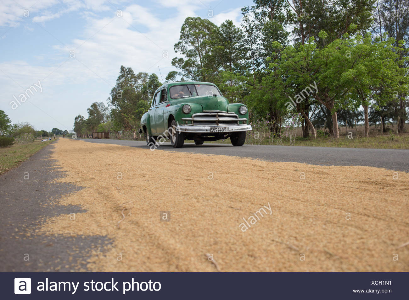 Rice Drying Stock Photos & Rice Drying Stock Images - Alamy