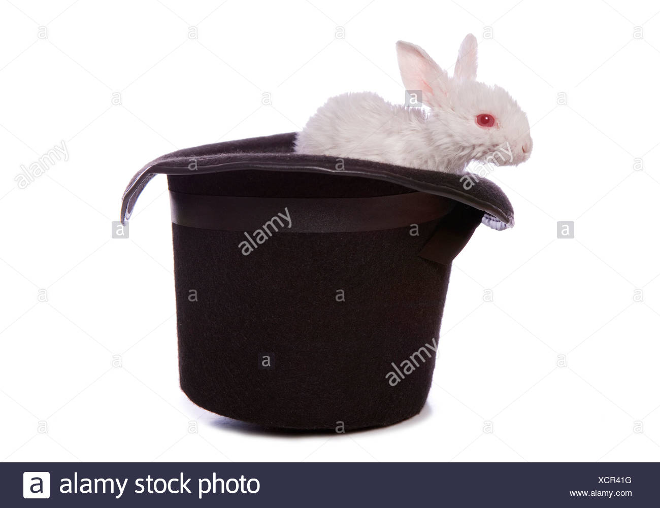 Pulling Rabbit Out Of Hat High Resolution Stock Photography and Images ...