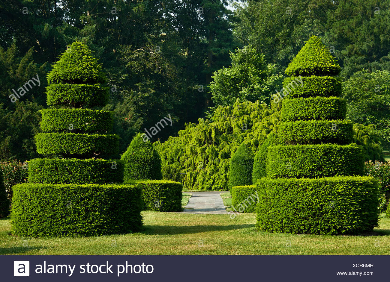 The Topiary Garden High Resolution Stock Photography and Images - Alamy
