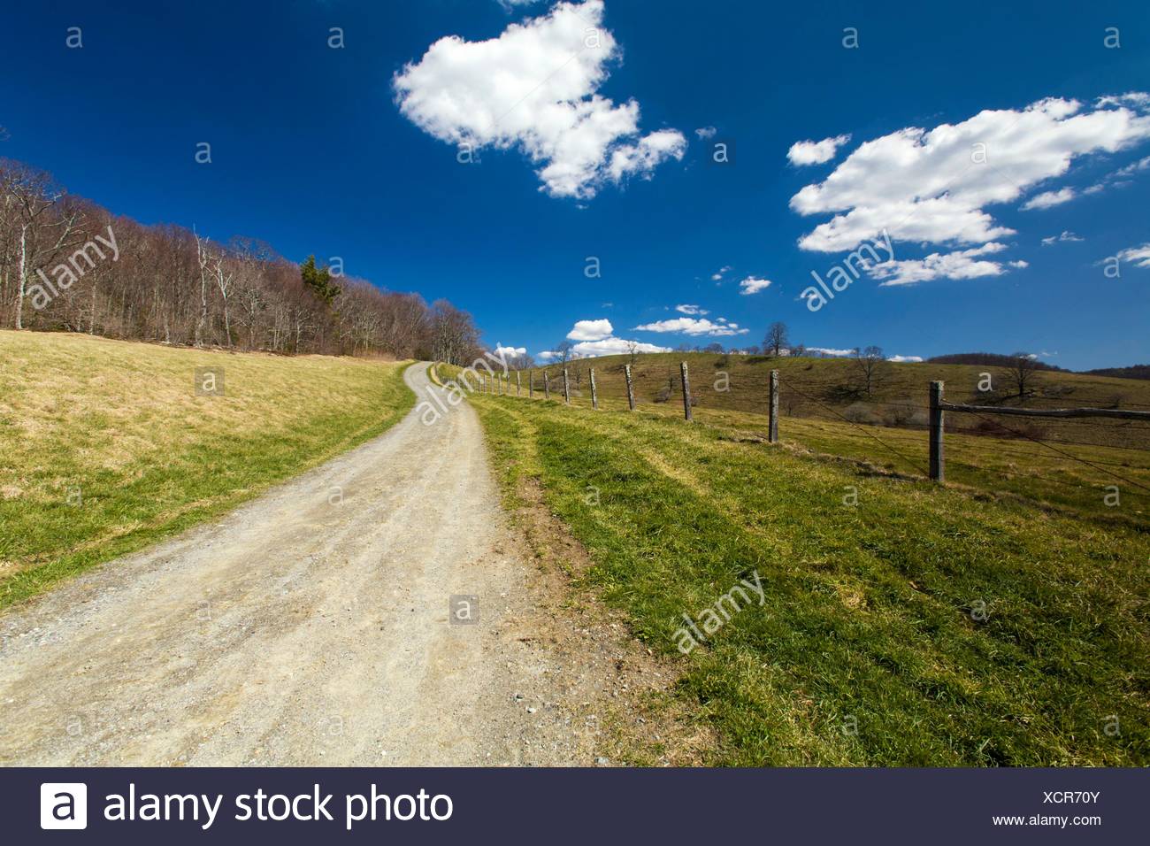 Moses H Cone High Resolution Stock Photography and Images - Alamy