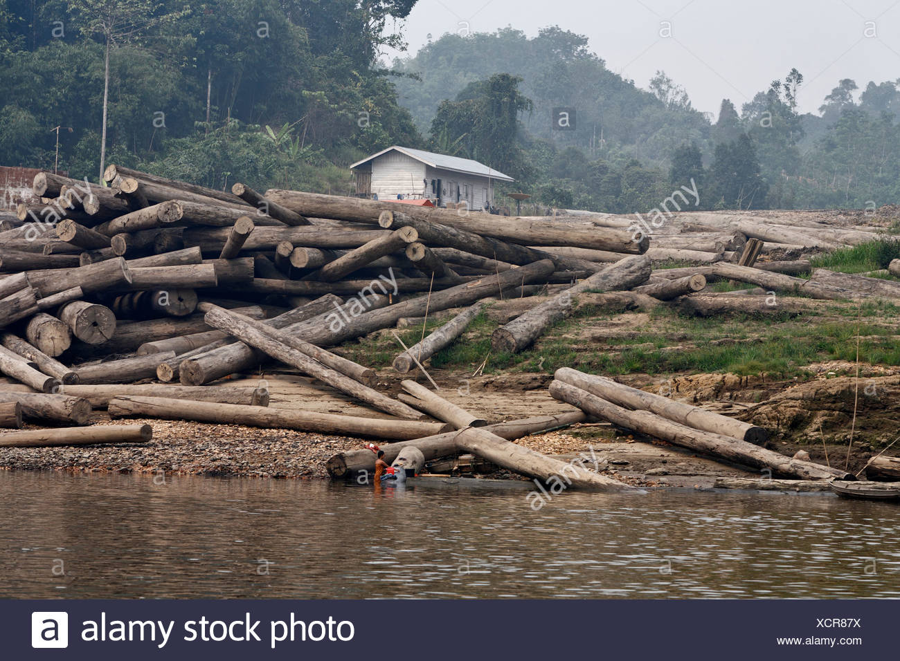 Kalimantan Deforestation High Resolution Stock Photography and Images ...