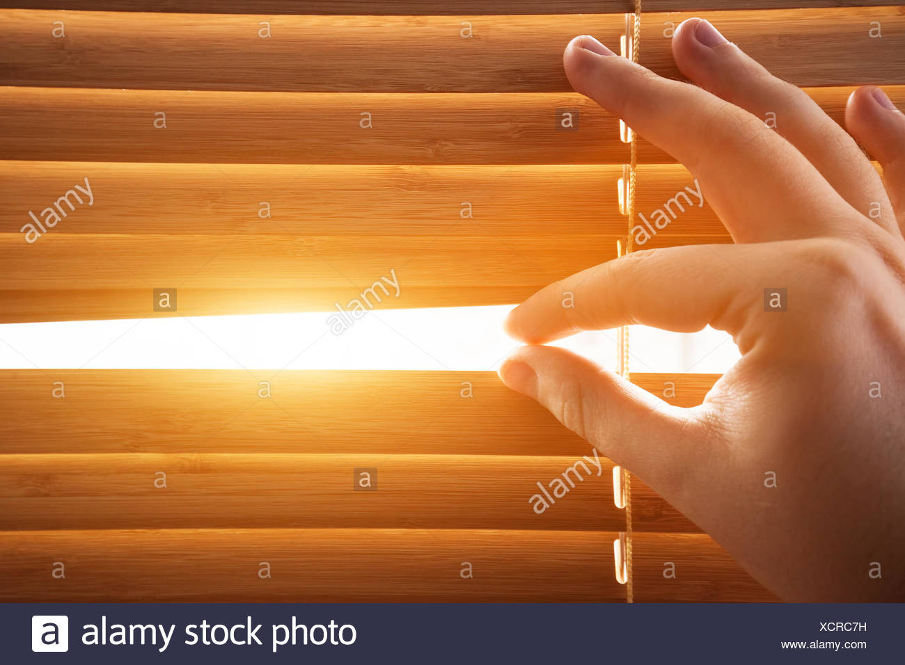 Peeping Through Blinds Stock Photos & Peeping Through Blinds Stock ...