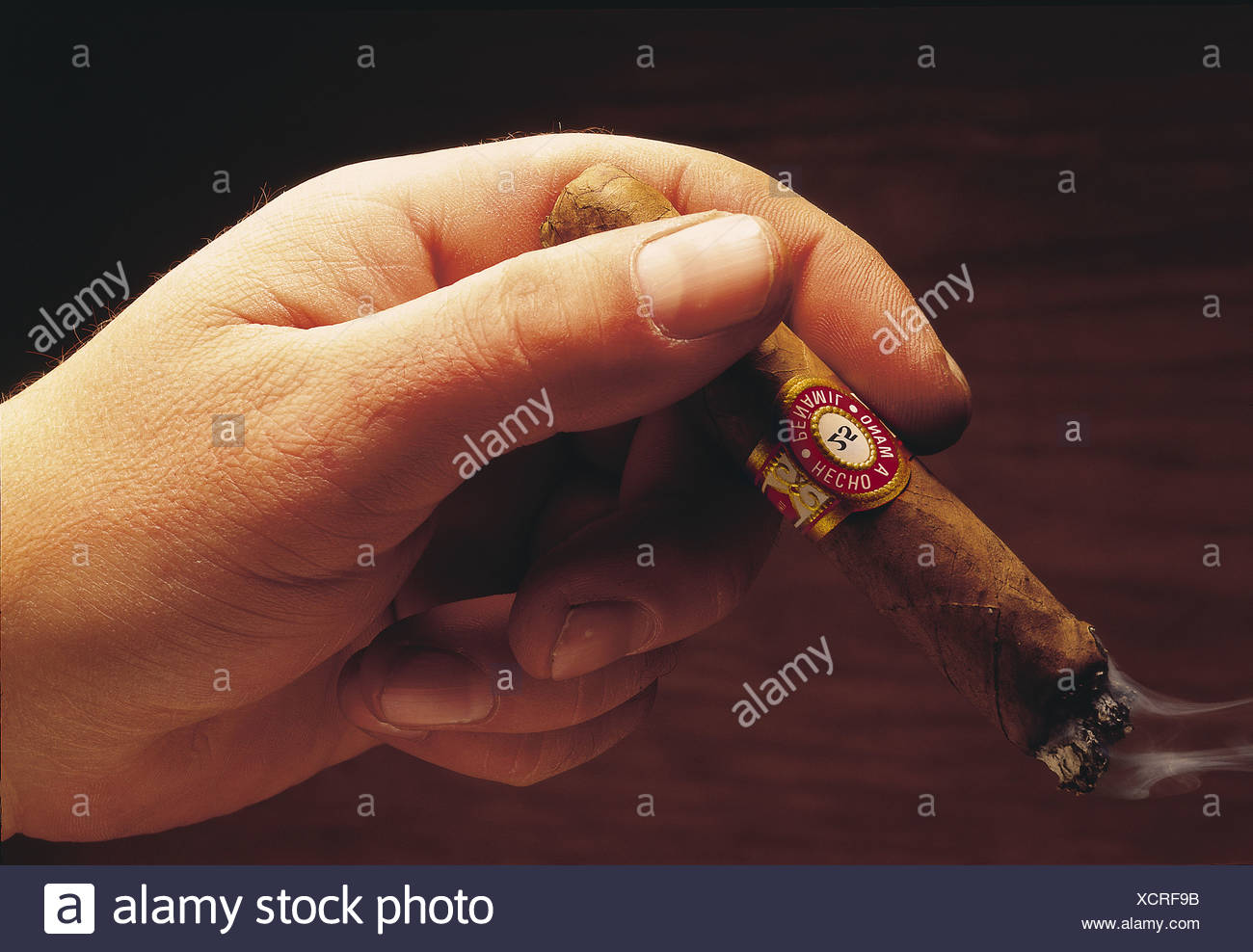 Hand Holding Cigar High Resolution Stock Photography and Images - Alamy