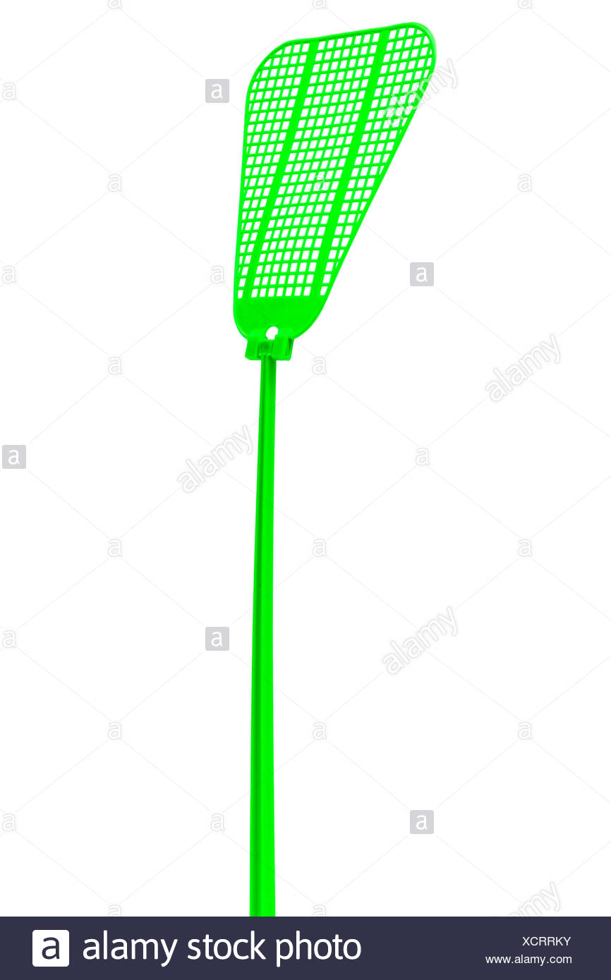 Swat Insects High Resolution Stock Photography and Images - Alamy