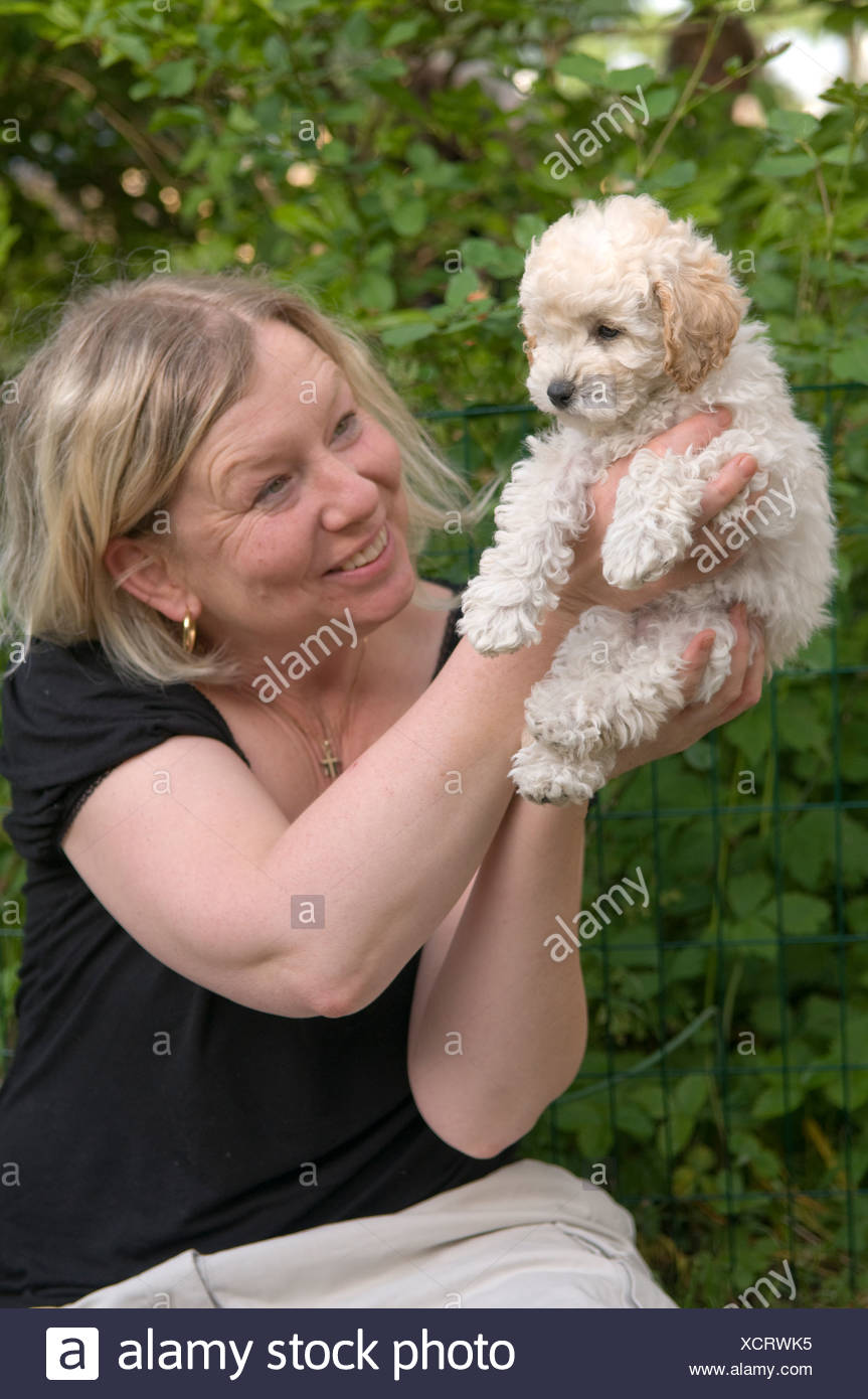 Woman Holding Poodle High Resolution Stock Photography and Images - Alamy
