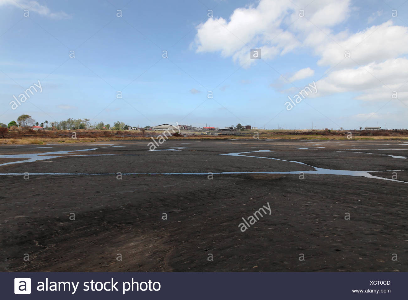 La Brea Pitch Lake, Trinidad High Resolution Stock Photography and ...