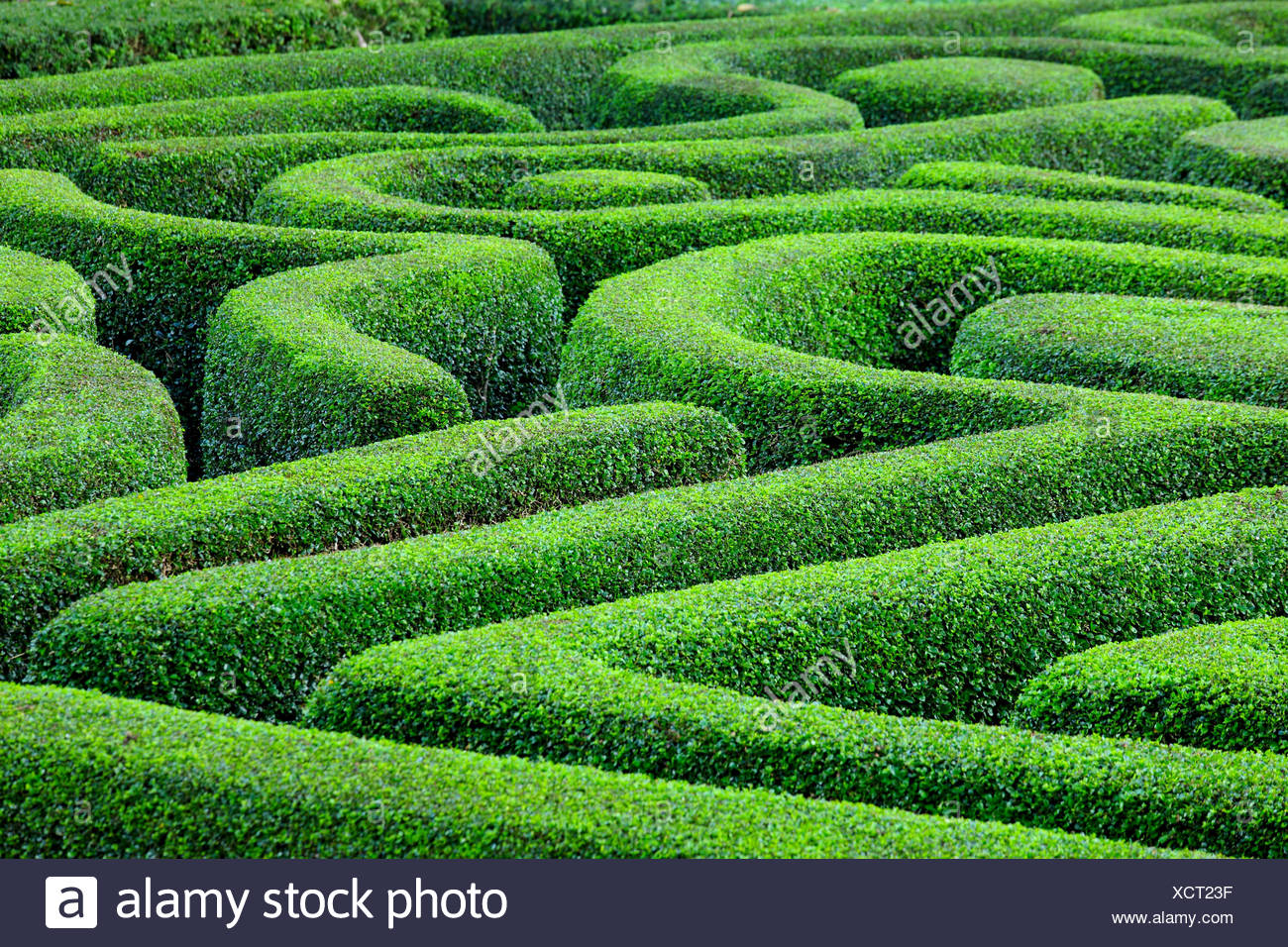 Plant Maze Stock Photos & Plant Maze Stock Images - Alamy