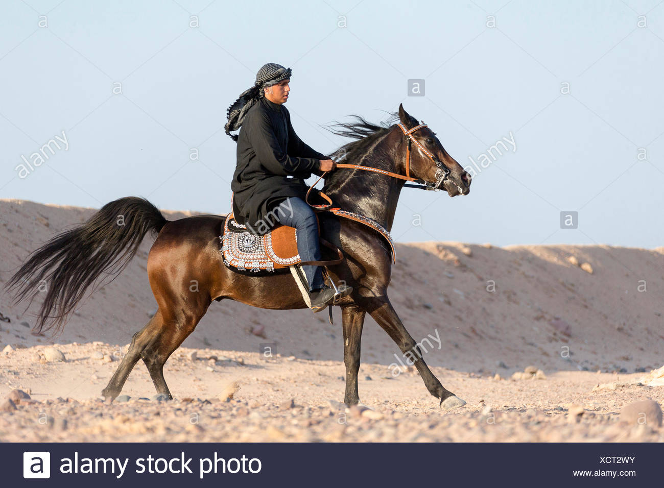 Arabian Horse Rider Traditional Dress High Resolution Stock Photography ...