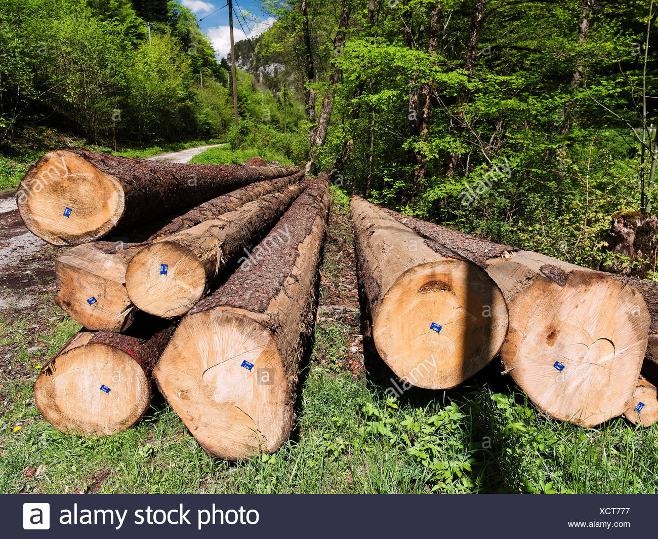 Round Timber Stock Photos & Round Timber Stock Images - Alamy