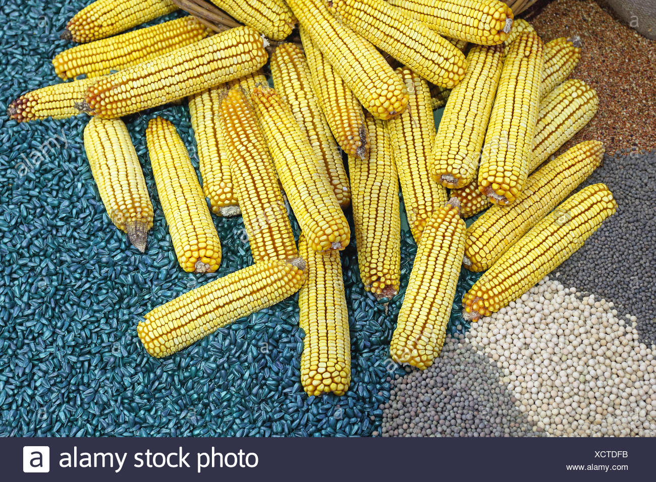 Maize Corn Yellow Pile High Resolution Stock Photography and Images - Alamy